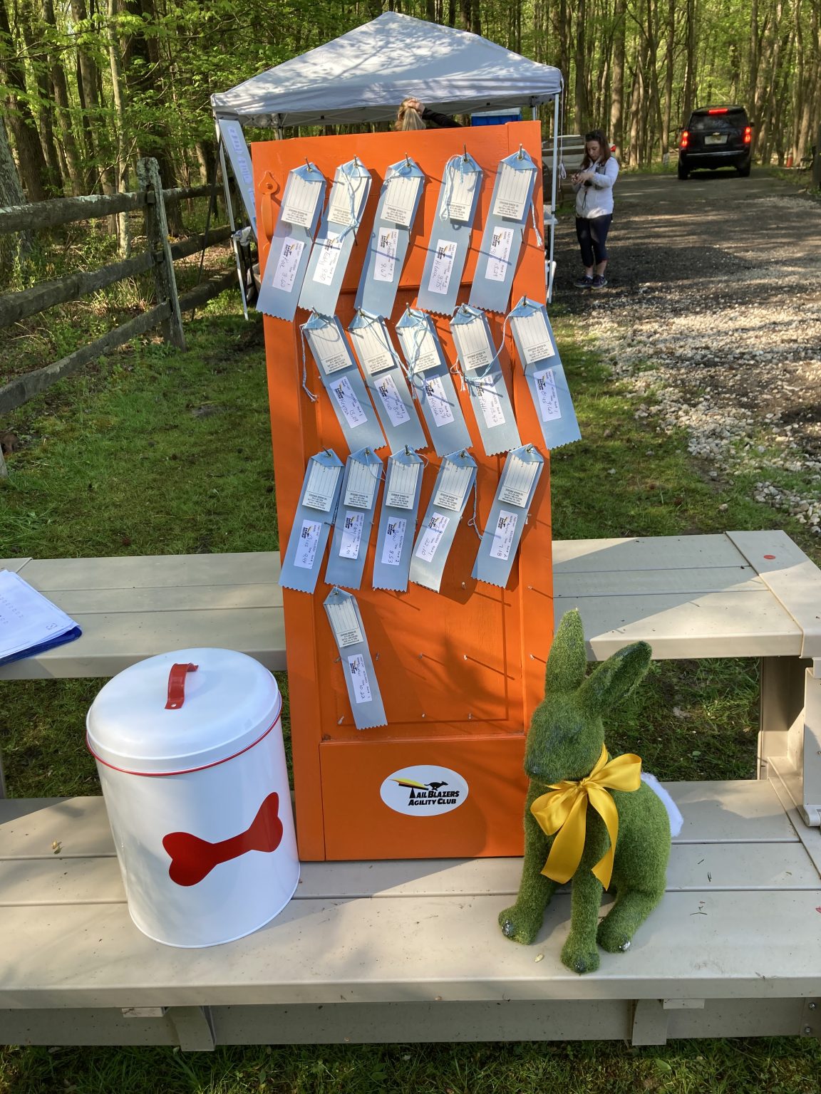 FAST CAT – TailBlazers